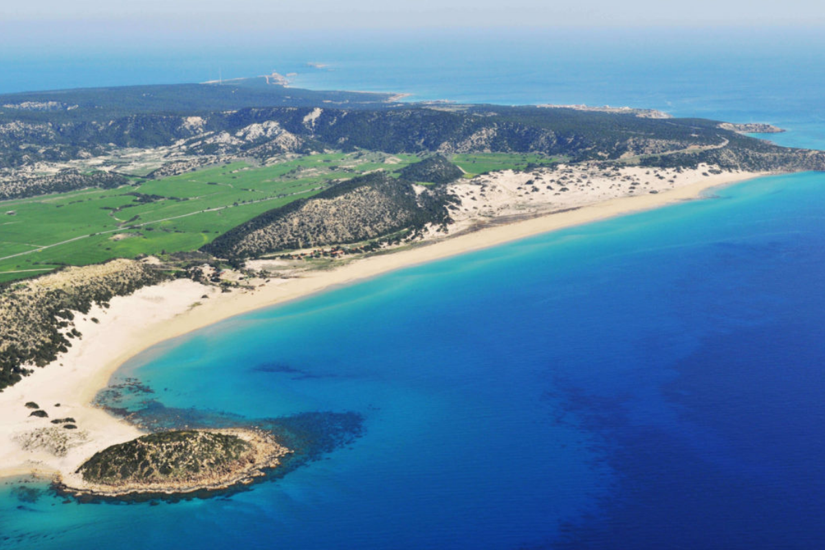 Une plage chypriote préservée accueille les tortues, mais les ânes ...